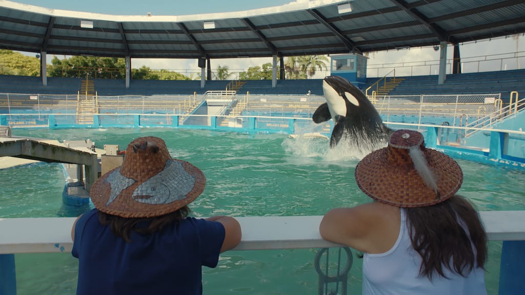 In Resident Orca, Indigenous Women Fight to Save a Whale They Consider ...