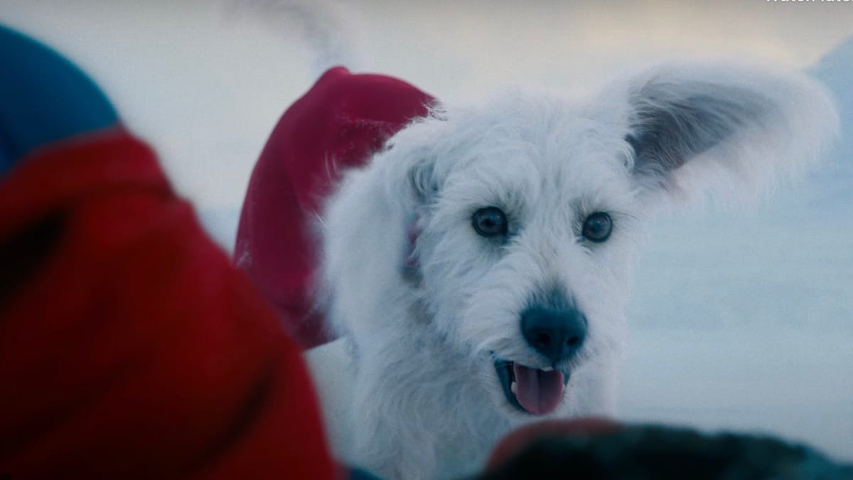 A Brief History of Krypto, Superman's Dog