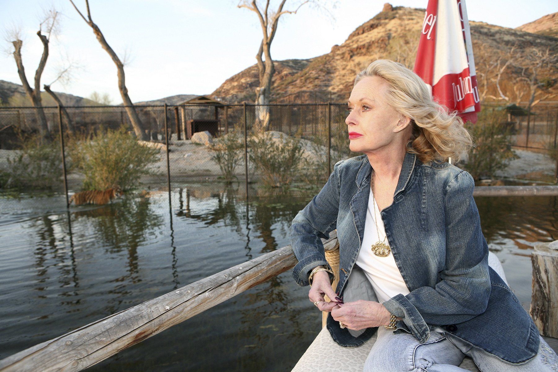 "Wild Animals Are Infinitely Fascinating:" Hitchcock Star Tippi Hedren ...