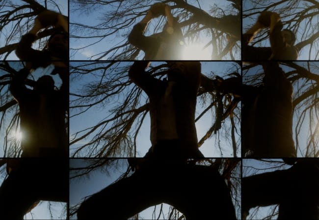 Buried: How the Directors Painted a Fair Portrait of Eileen Franklin ...