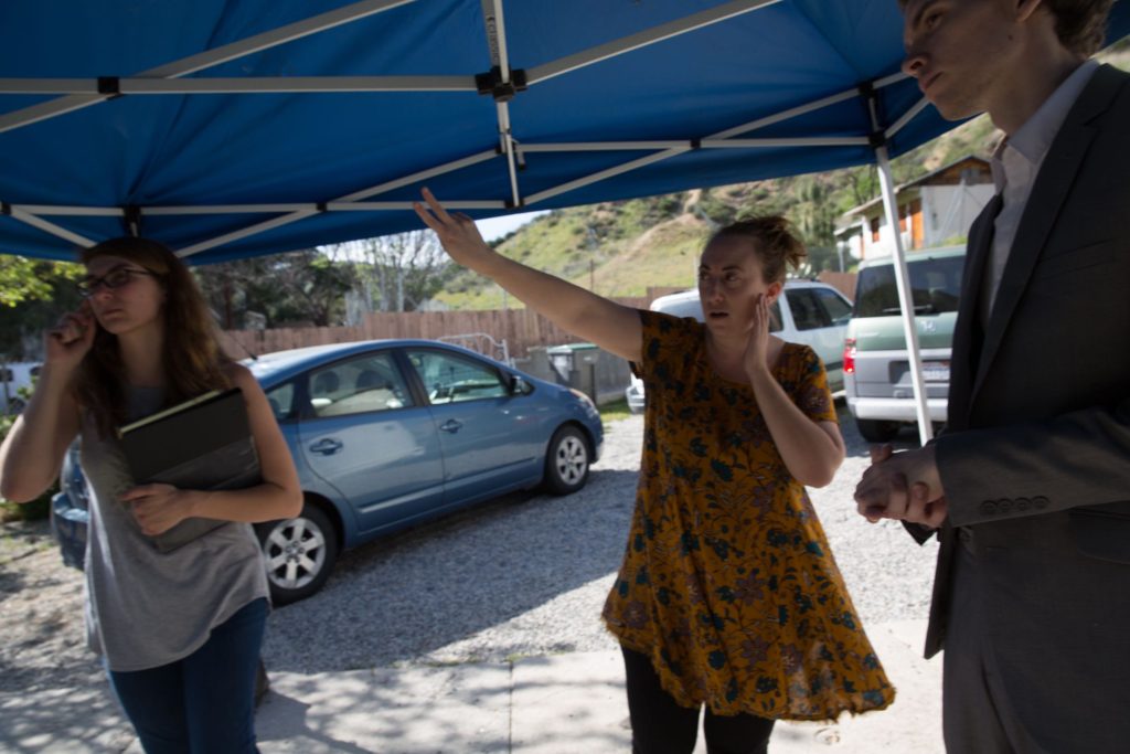 Film Distribution Vet Liz Manashil on the Future of the Industry