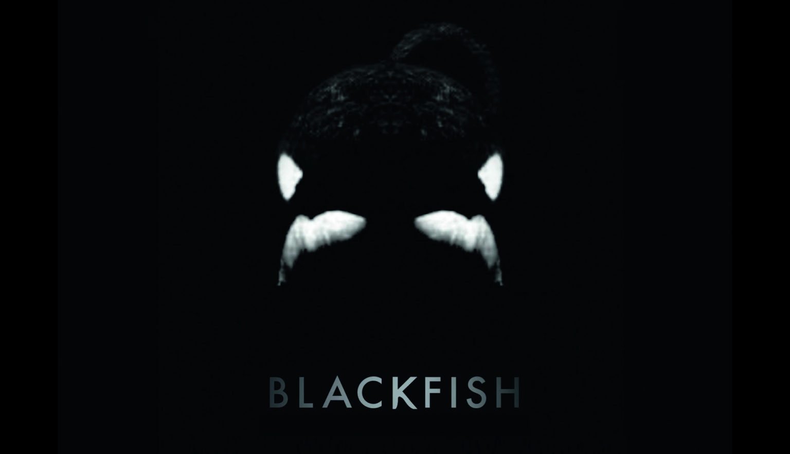 11 Films That Inspired Social Change, From Brokeback Mountain to Bambi