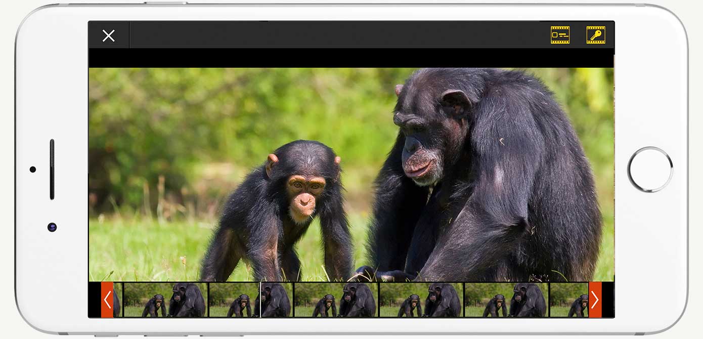 11 Things to Buy to Make Your Movies Better and Your Life Easier