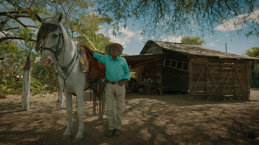 4 Surprisingly Easy Ways to Live Longer, According to Netflix's Secrets ...